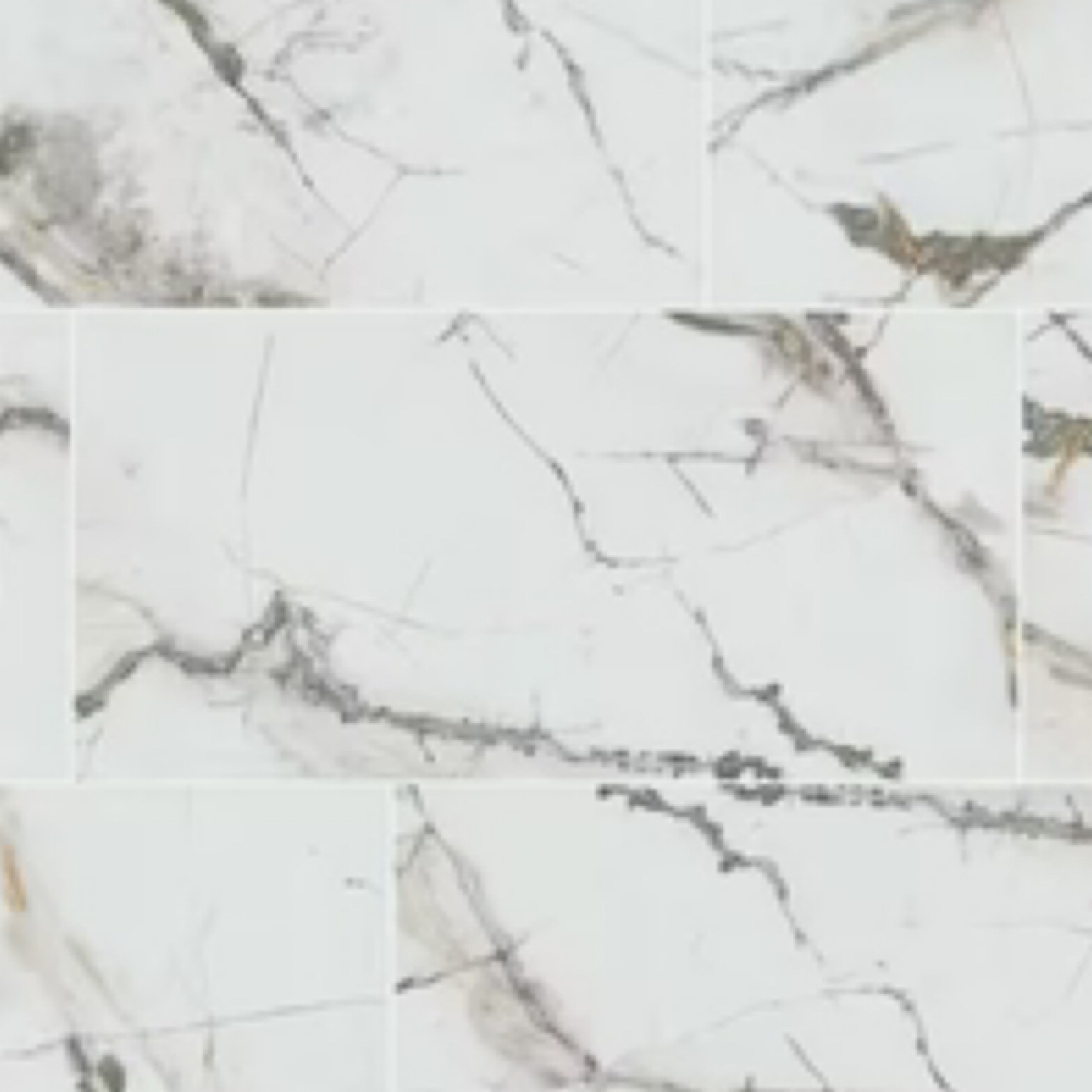 Avalon 12 in. x 24 in. Matte Porcelain Marble Look Floor and Wall Tile ...